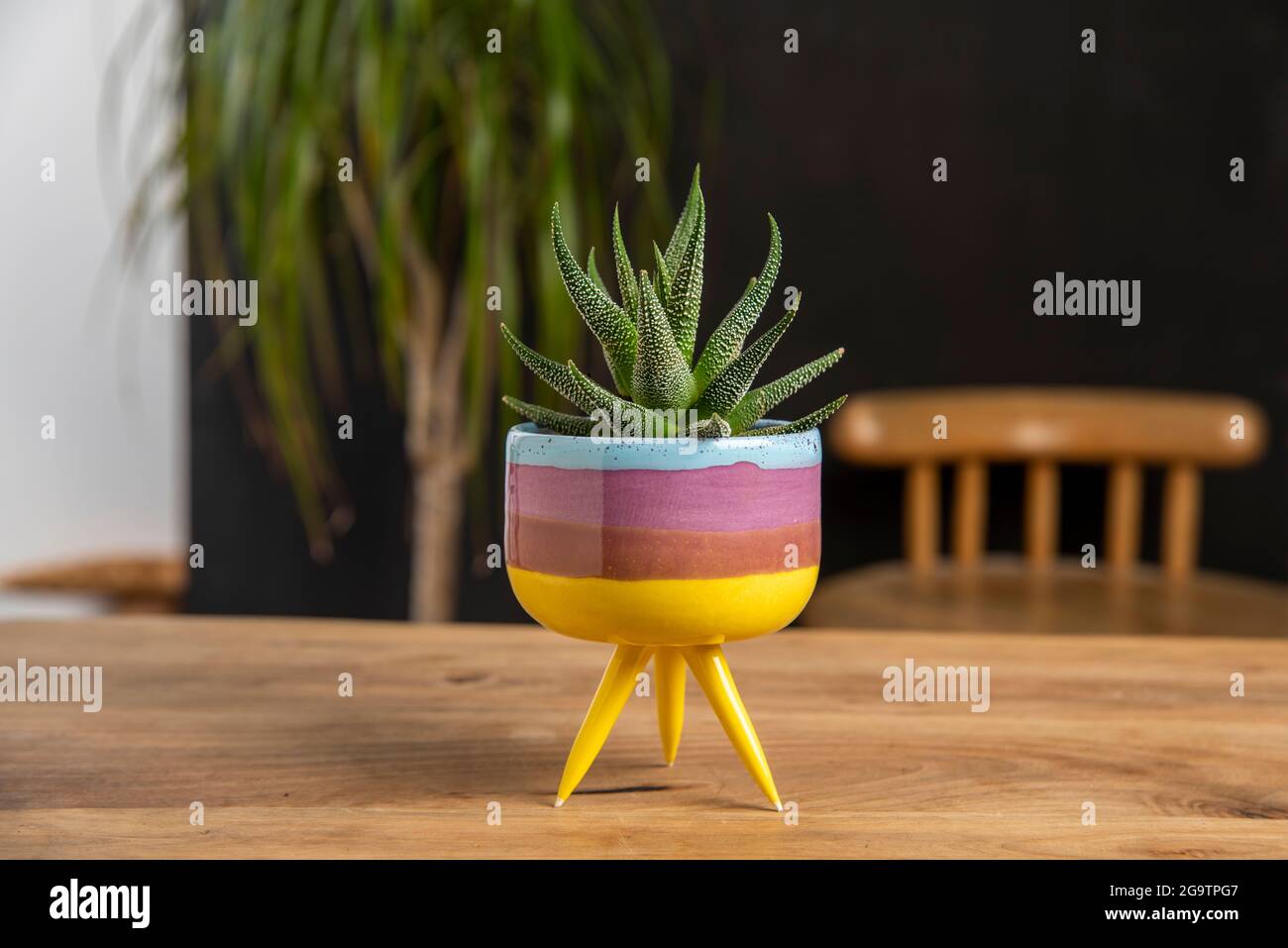 colorful ceramic cactus vase in design living room Stock Photo - Alamy