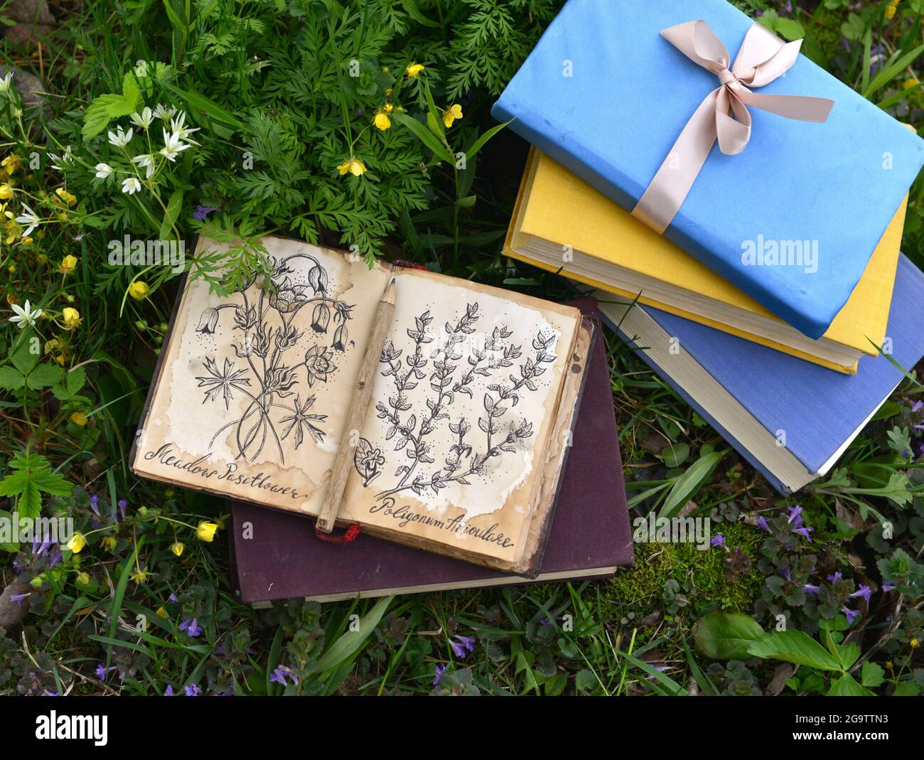 Still life with books and open diary laying on green grass lawn outside ...