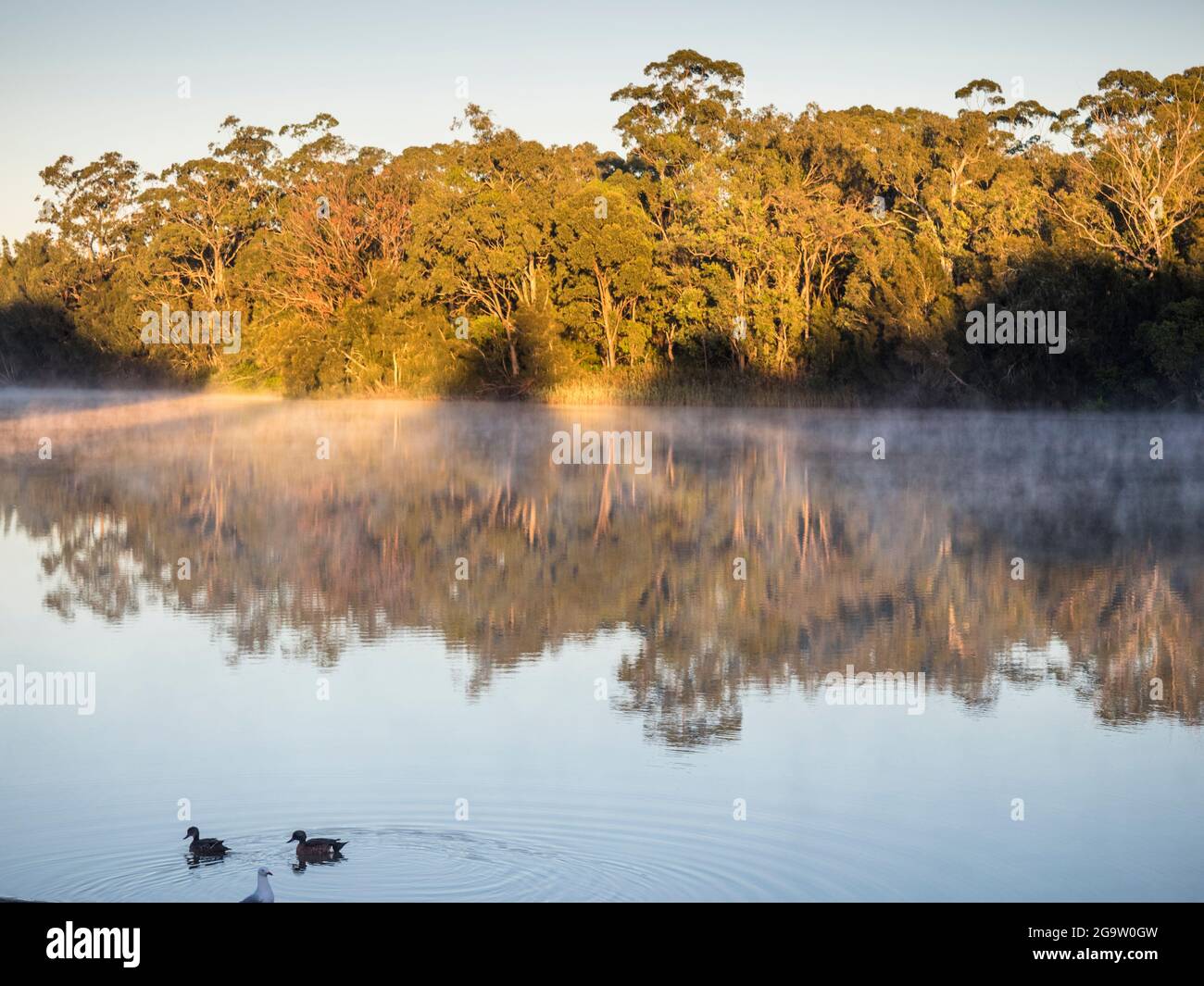 Georges river hi-res stock photography and images - Alamy