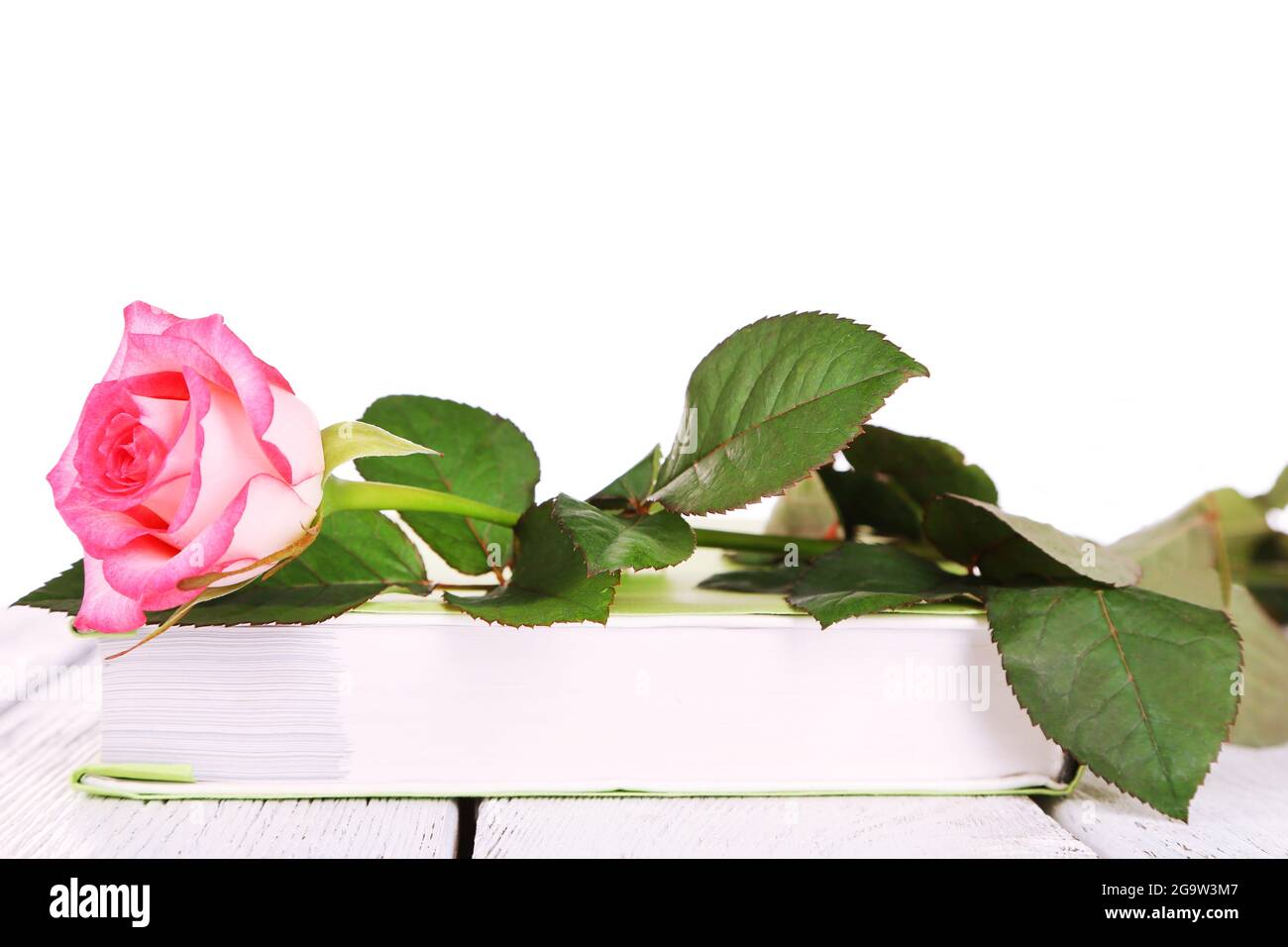 Beautiful rose with book isolated on white Stock Photo - Alamy