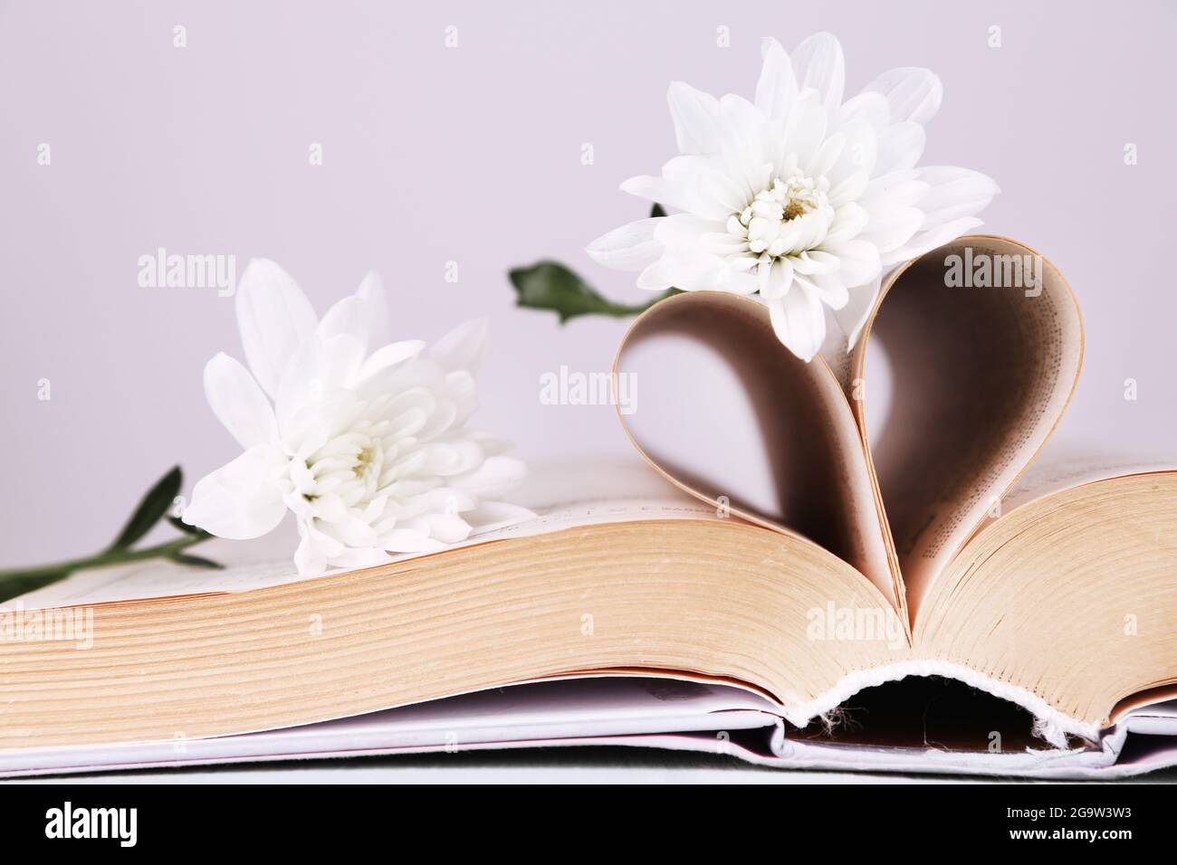 Open book with shape of heart from pages and flowers on light ...