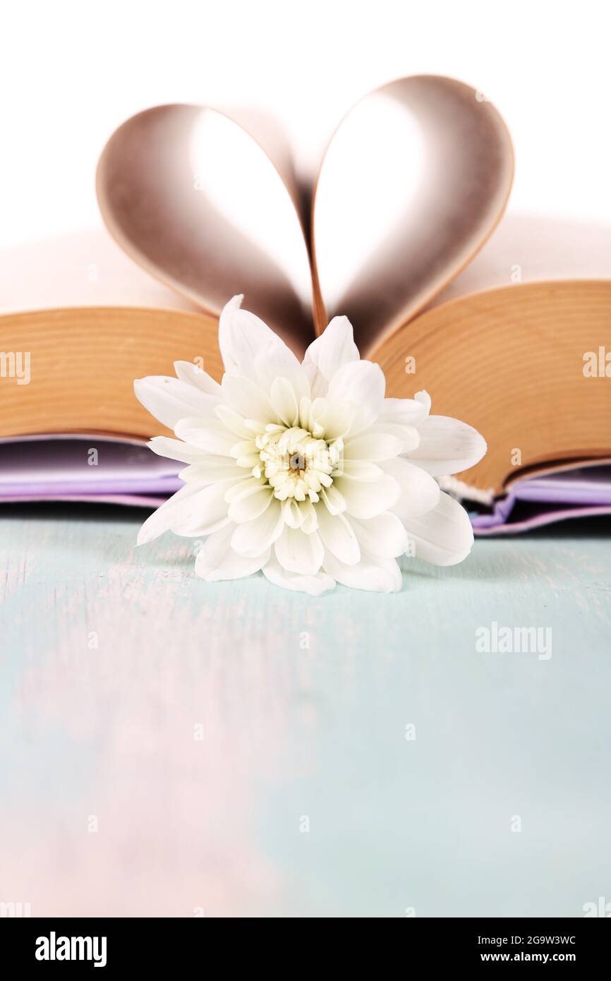 Open book with shape of heart from pages and flower on white background ...