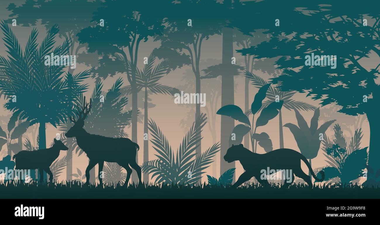 Forest animals wildlife natural Stock Vector Images - Alamy