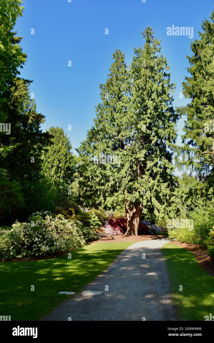 University of washington botanic gardens hi-res stock photography and ...