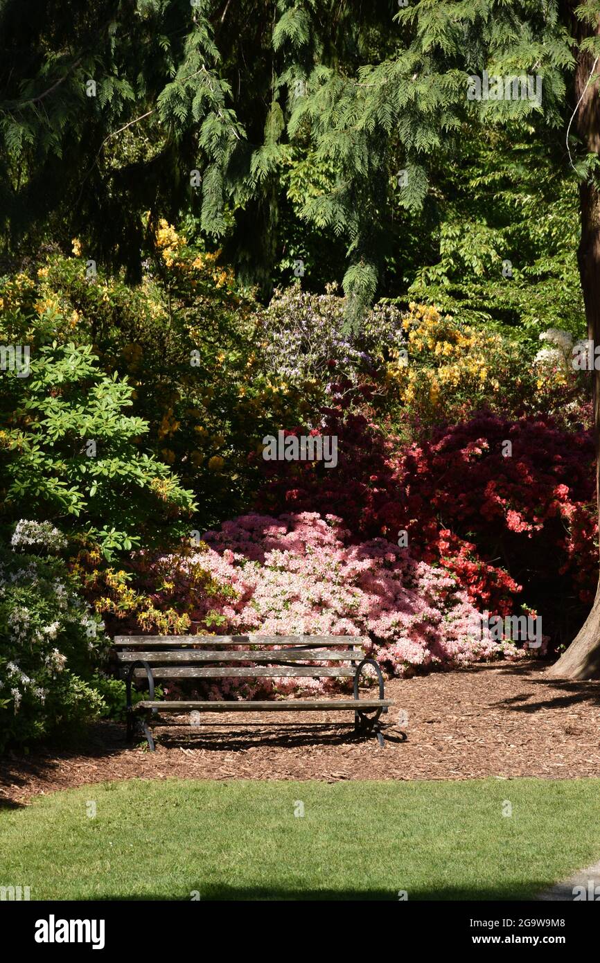 Washington Park Arboretum, Seattle, Washington Stock Photo - Alamy