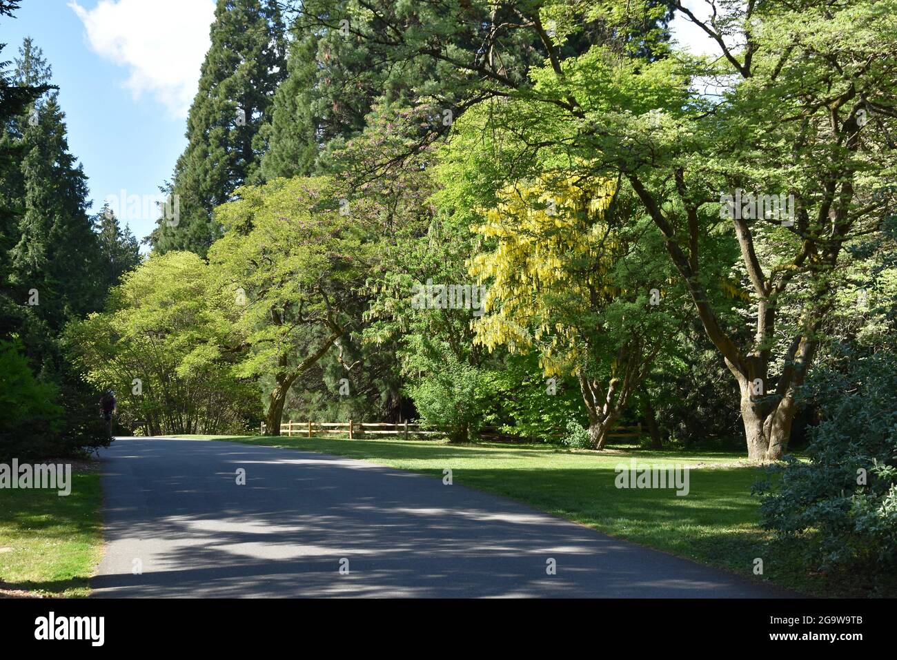 University of washington botanic gardens hi-res stock photography and ...