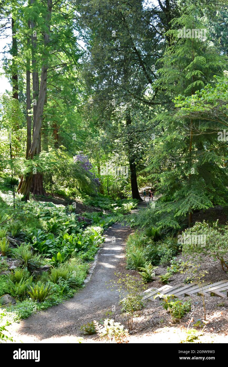 Washington Park Arboretum, Seattle, Washington Stock Photo - Alamy