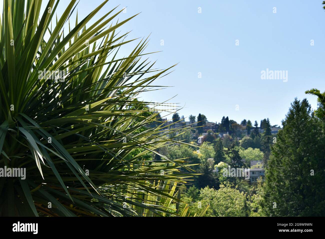 University of washington botanic gardens hi-res stock photography and ...