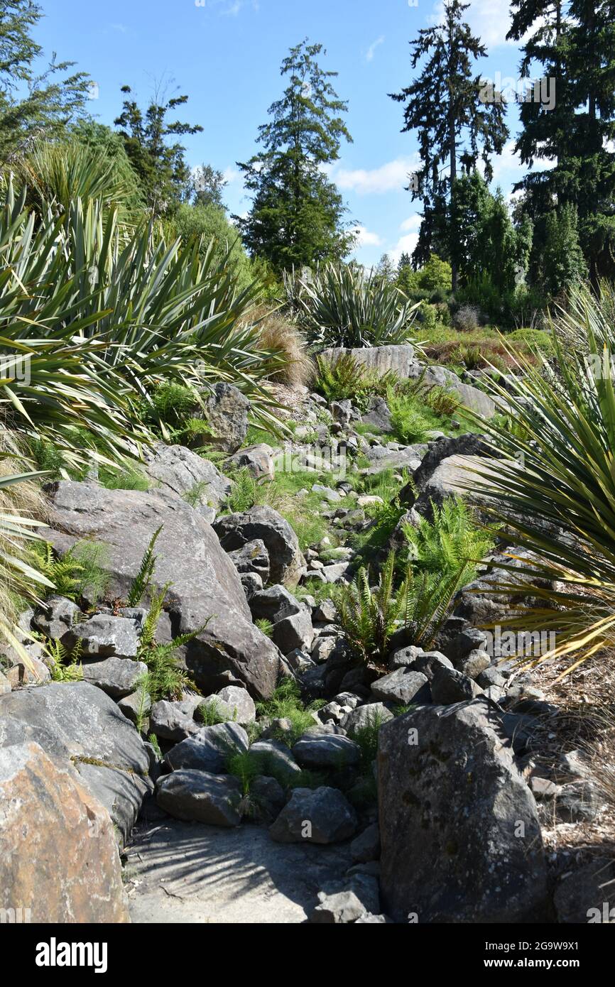 University of washington botanic gardens hi-res stock photography and ...