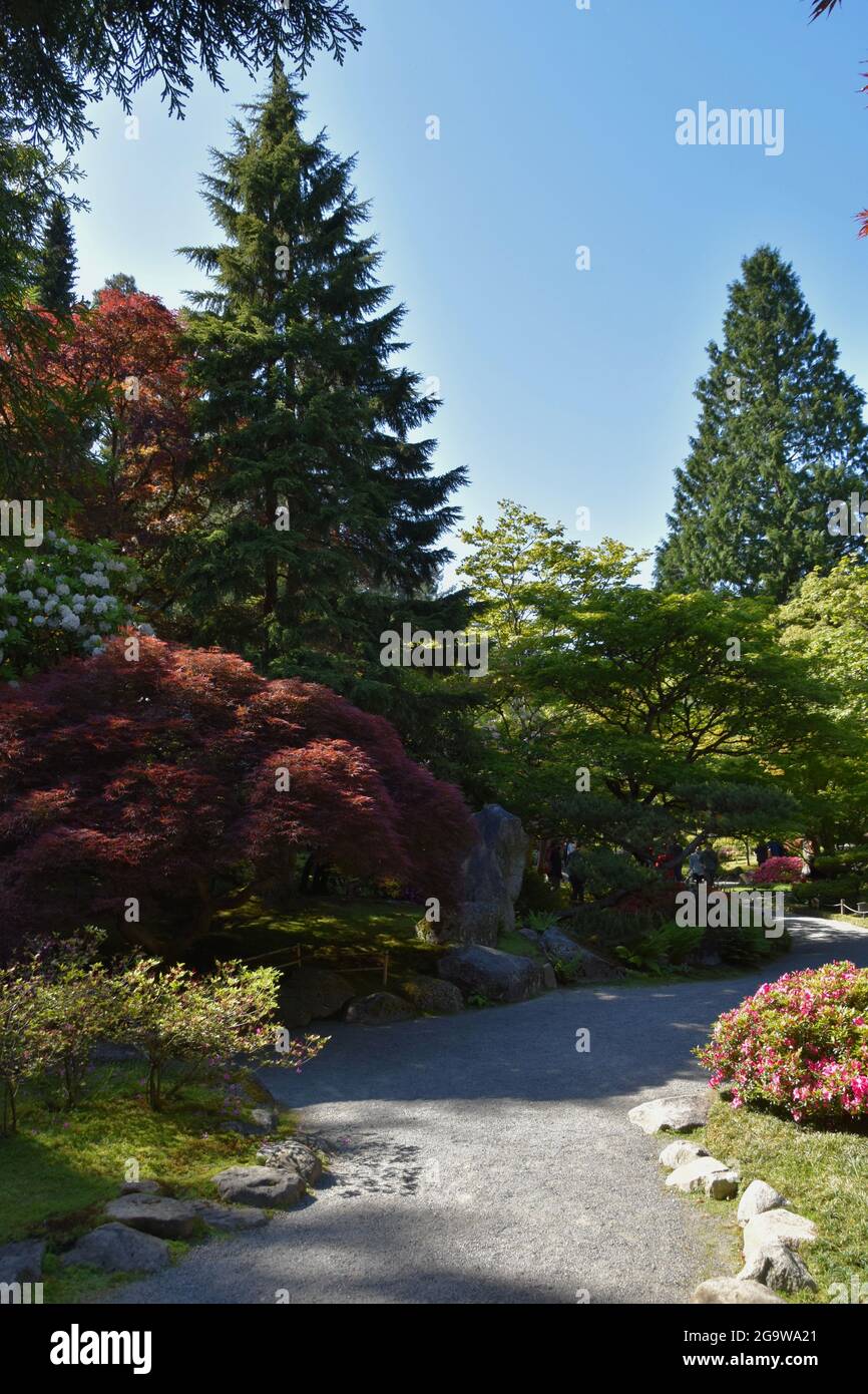 Seattle's iconic Japanese Gardens in Washington Park Stock Photo - Alamy