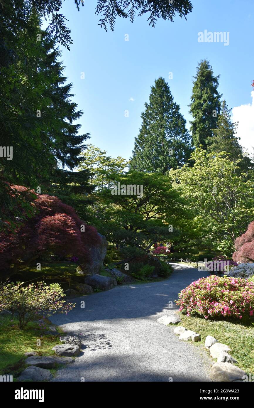 Seattle's iconic Japanese Gardens in Washington Park Stock Photo - Alamy