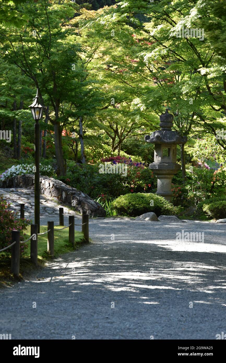 Seattle's iconic Japanese Gardens in Washington Park Stock Photo - Alamy