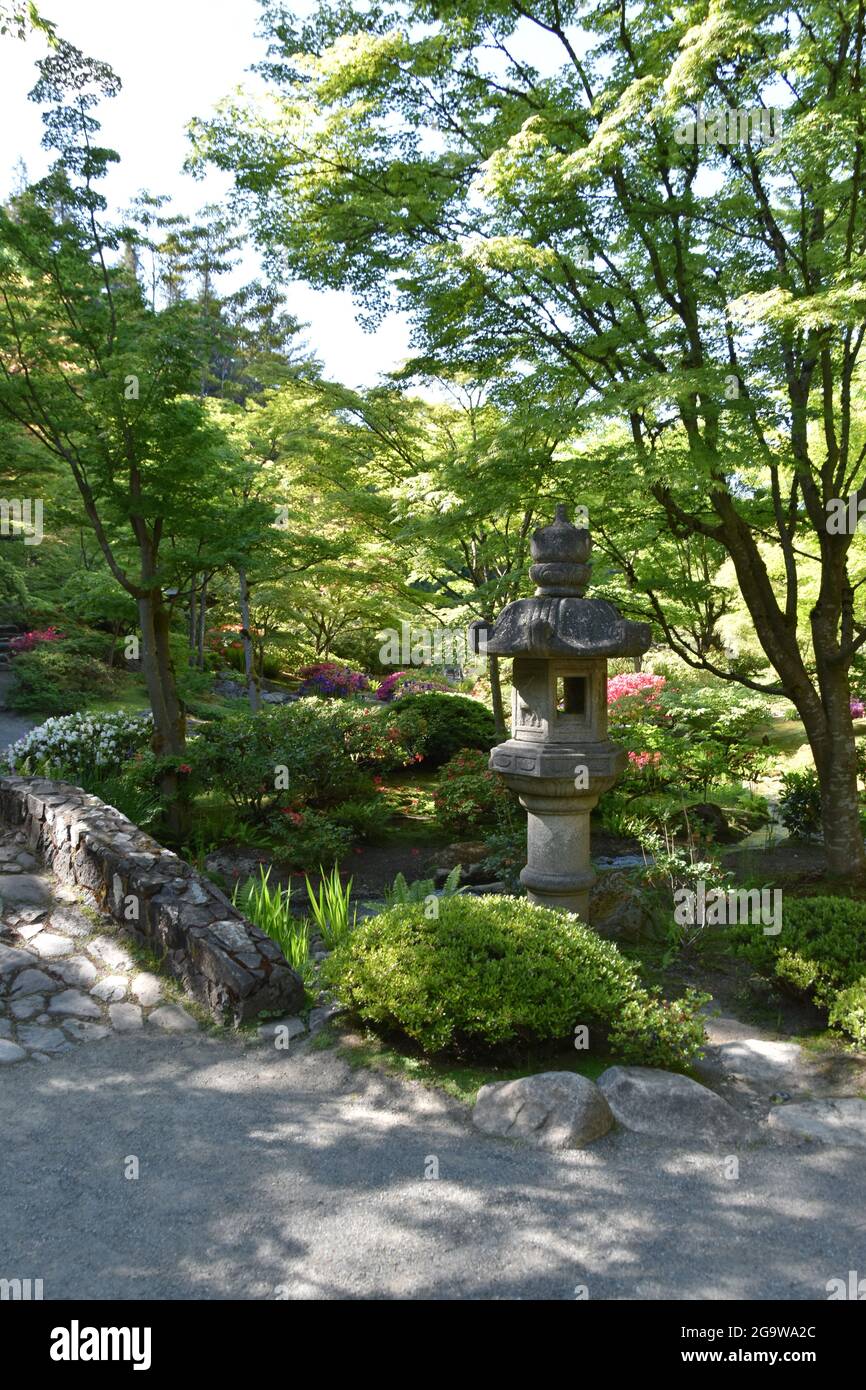 Seattle's iconic Japanese Gardens in Washington Park Stock Photo - Alamy