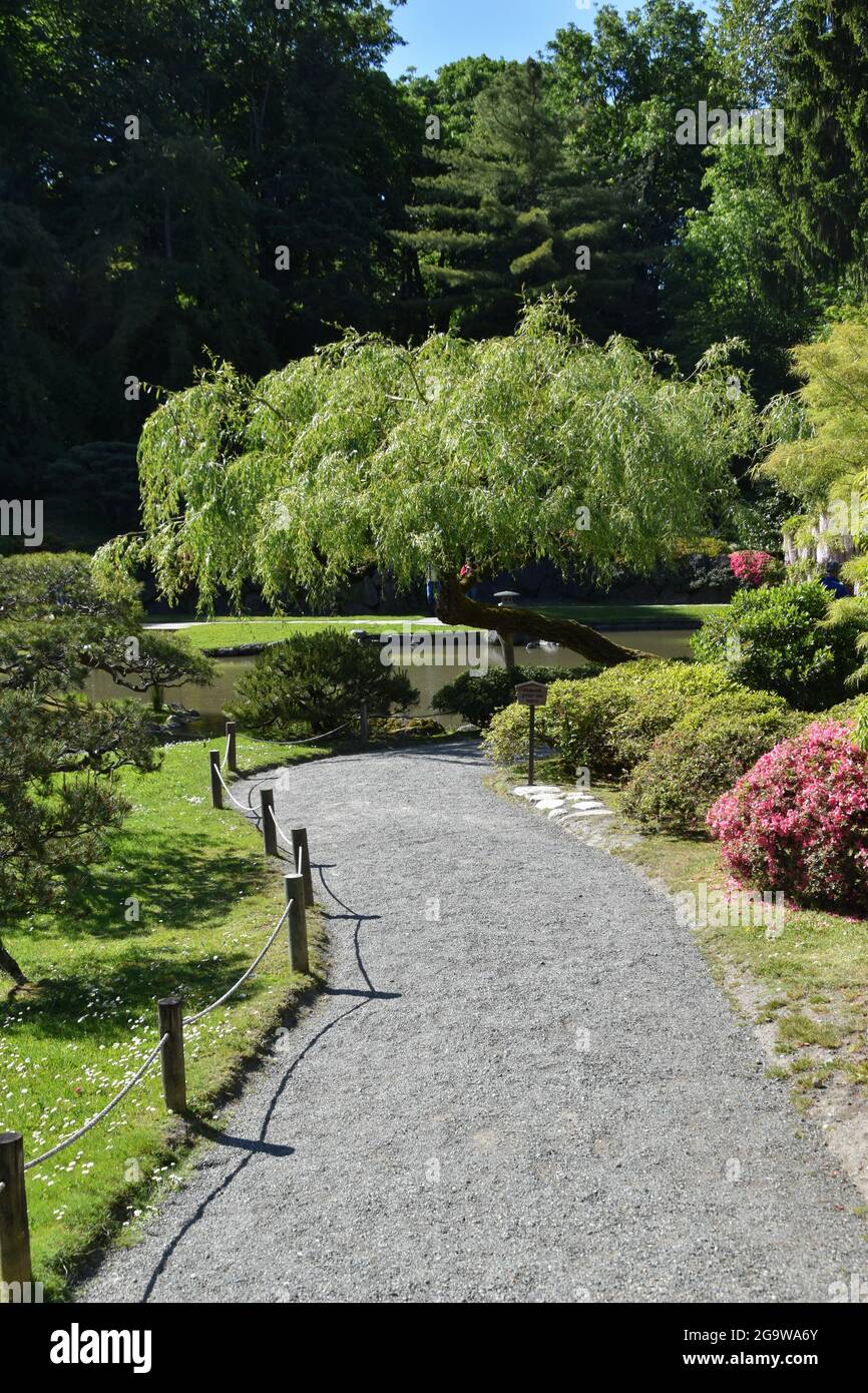Seattle's iconic Japanese Gardens in Washington Park Stock Photo - Alamy