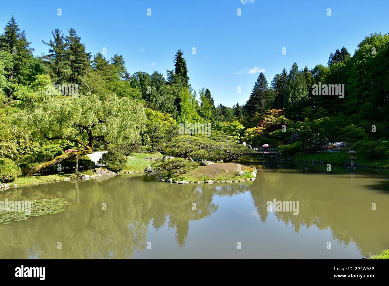 Seattle's iconic Japanese Gardens in Washington Park Stock Photo - Alamy