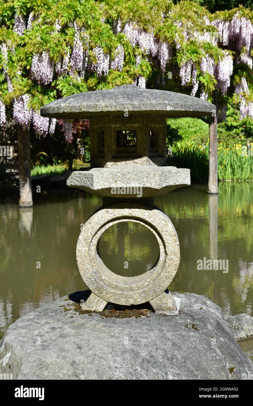 Seattle's iconic Japanese Gardens in Washington Park Stock Photo - Alamy