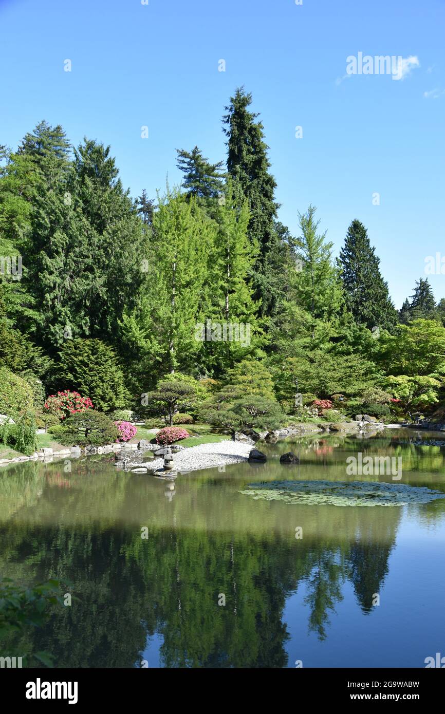 Seattle's iconic Japanese Gardens in Washington Park Stock Photo - Alamy