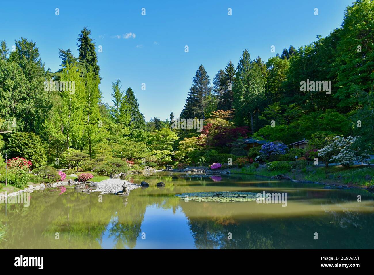 Seattle's iconic Japanese Gardens in Washington Park Stock Photo - Alamy