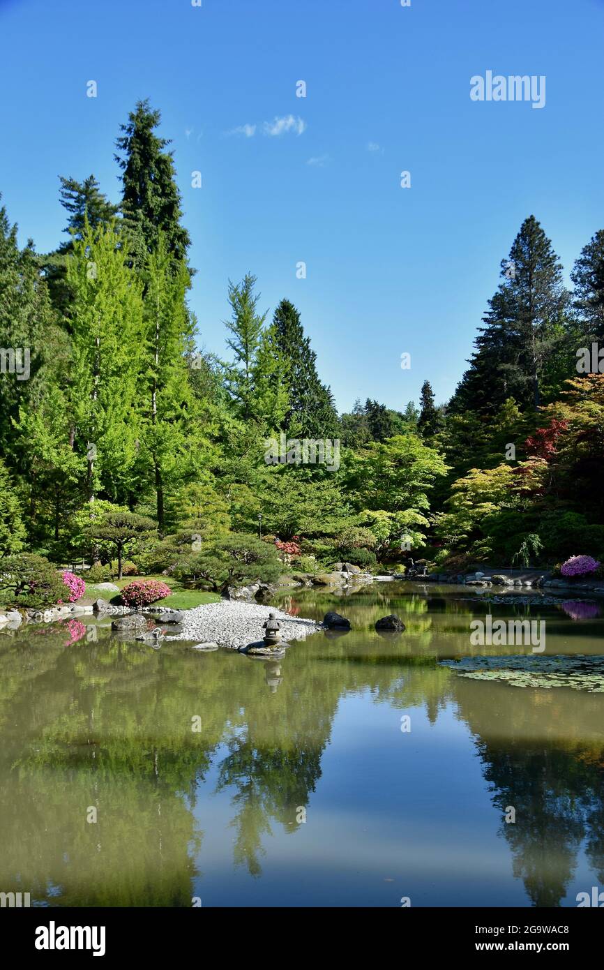 Seattle's iconic Japanese Gardens in Washington Park Stock Photo - Alamy