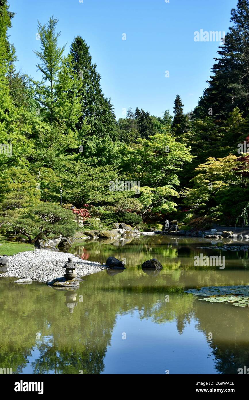 Seattle's iconic Japanese Gardens in Washington Park Stock Photo - Alamy