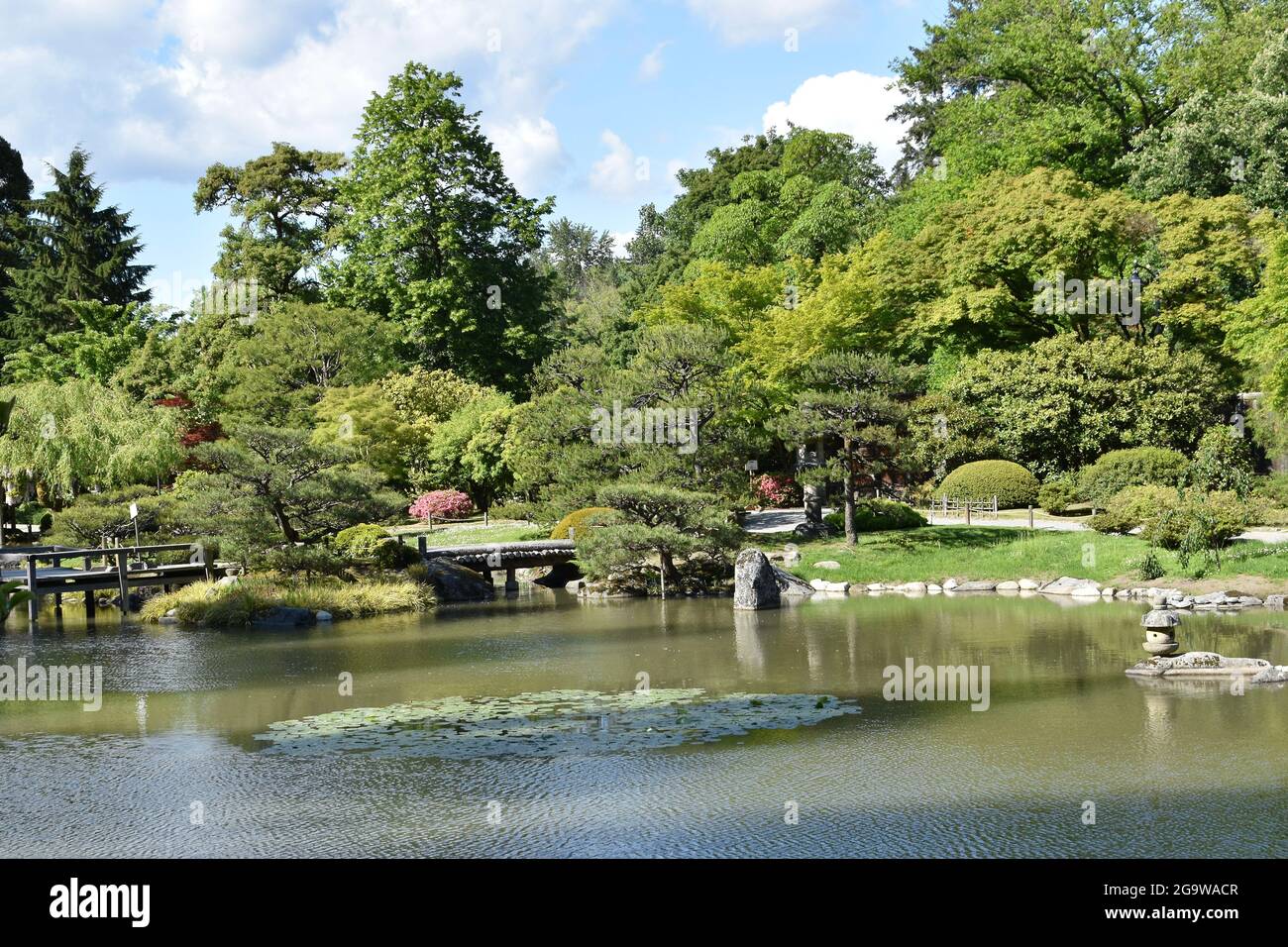 Seattle's iconic Japanese Gardens in Washington Park Stock Photo - Alamy
