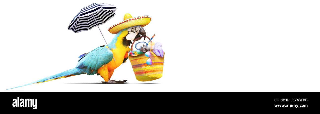 Shore beach turquoise water Cut Out Stock Images & Pictures - Alamy