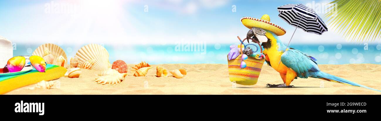 Parrot on sandy beach near sea. Beach holiday background Stock Photo ...