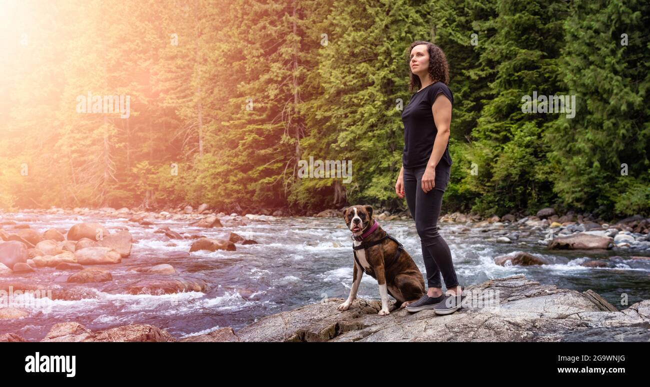Canadian female boxer hi-res stock photography and images - Alamy