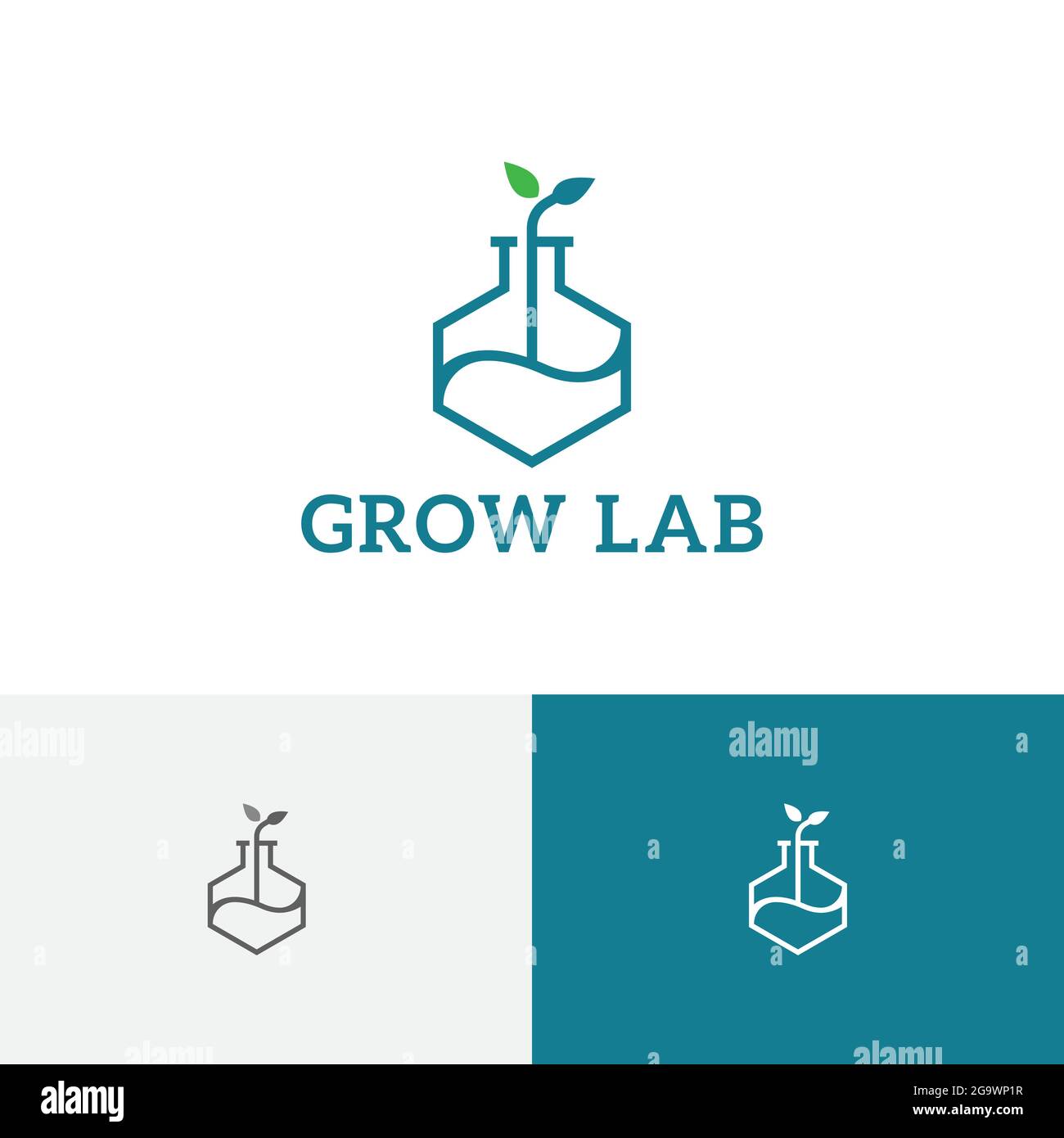 Grow Plant Sprout Hexagon Tube Biology Research Logo Stock Vector Image ...