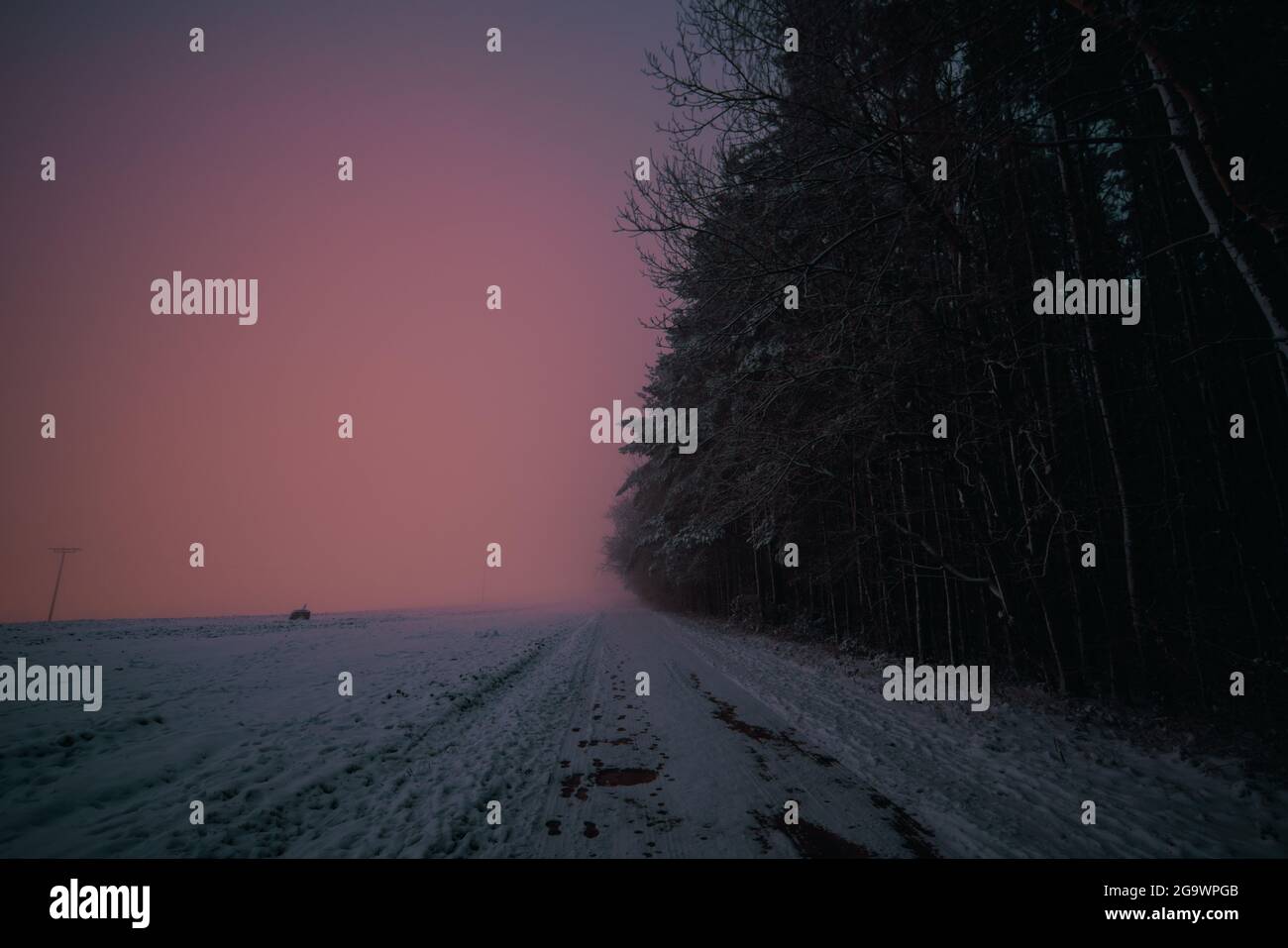 Night landscape with forest and road in fog, toned photo Stock Photo ...