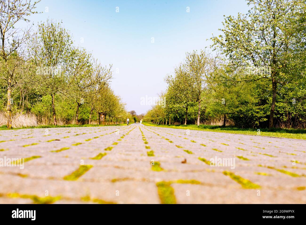 Asphalt road from a low point of view Stock Photo - Alamy