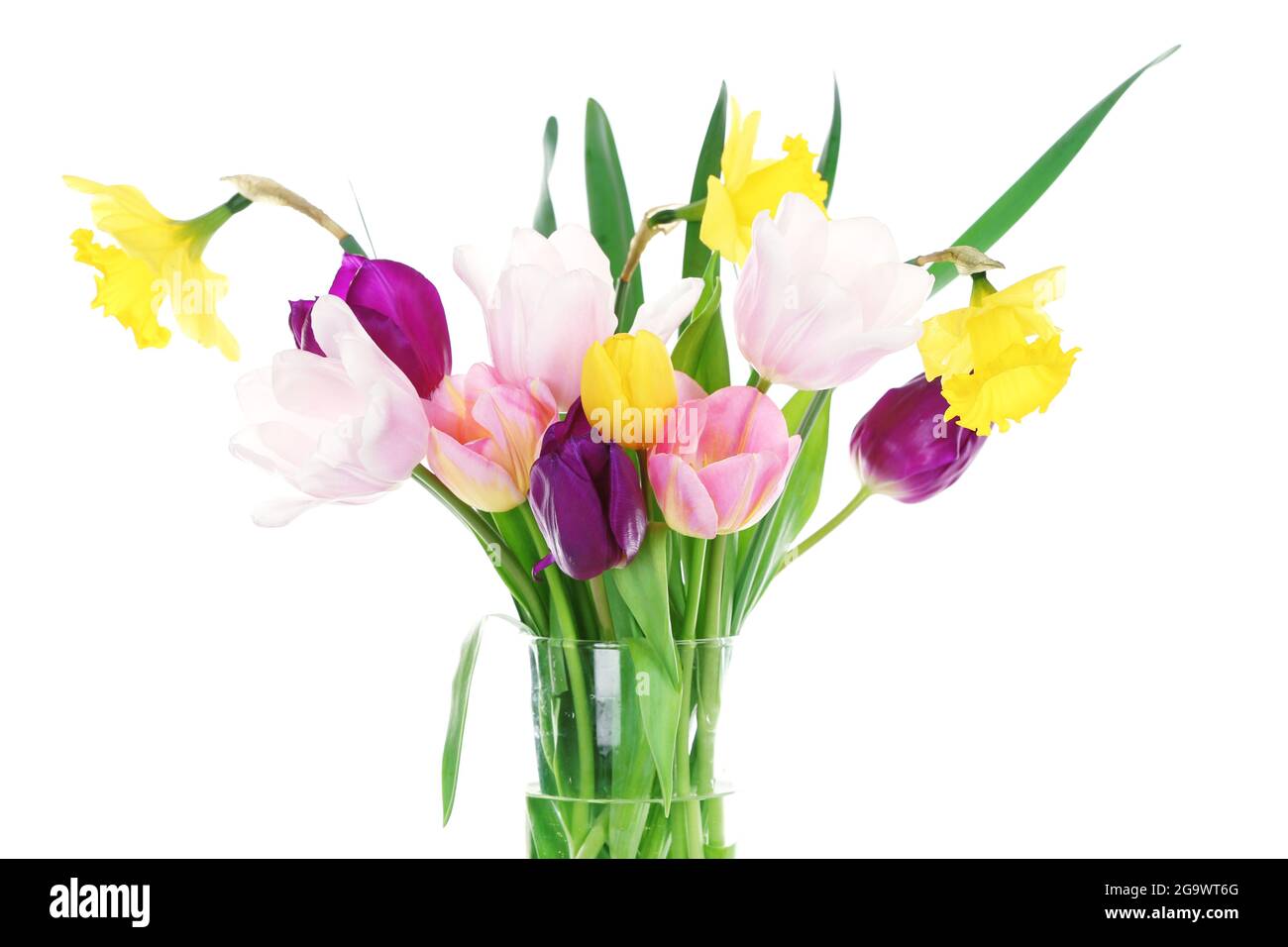 Beautiful spring flowers isolated on white Stock Photo - Alamy