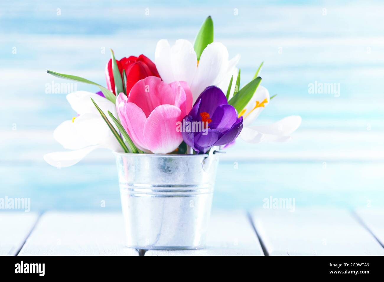 Beautiful spring flowers in metal bucket on color background Stock ...
