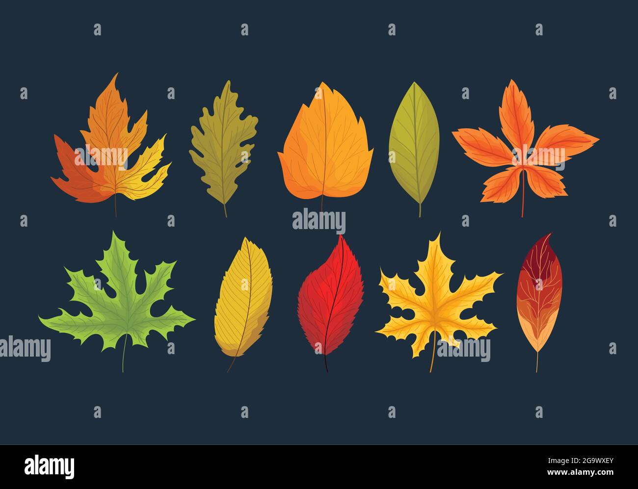 Ten oval Stock Vector Images - Alamy