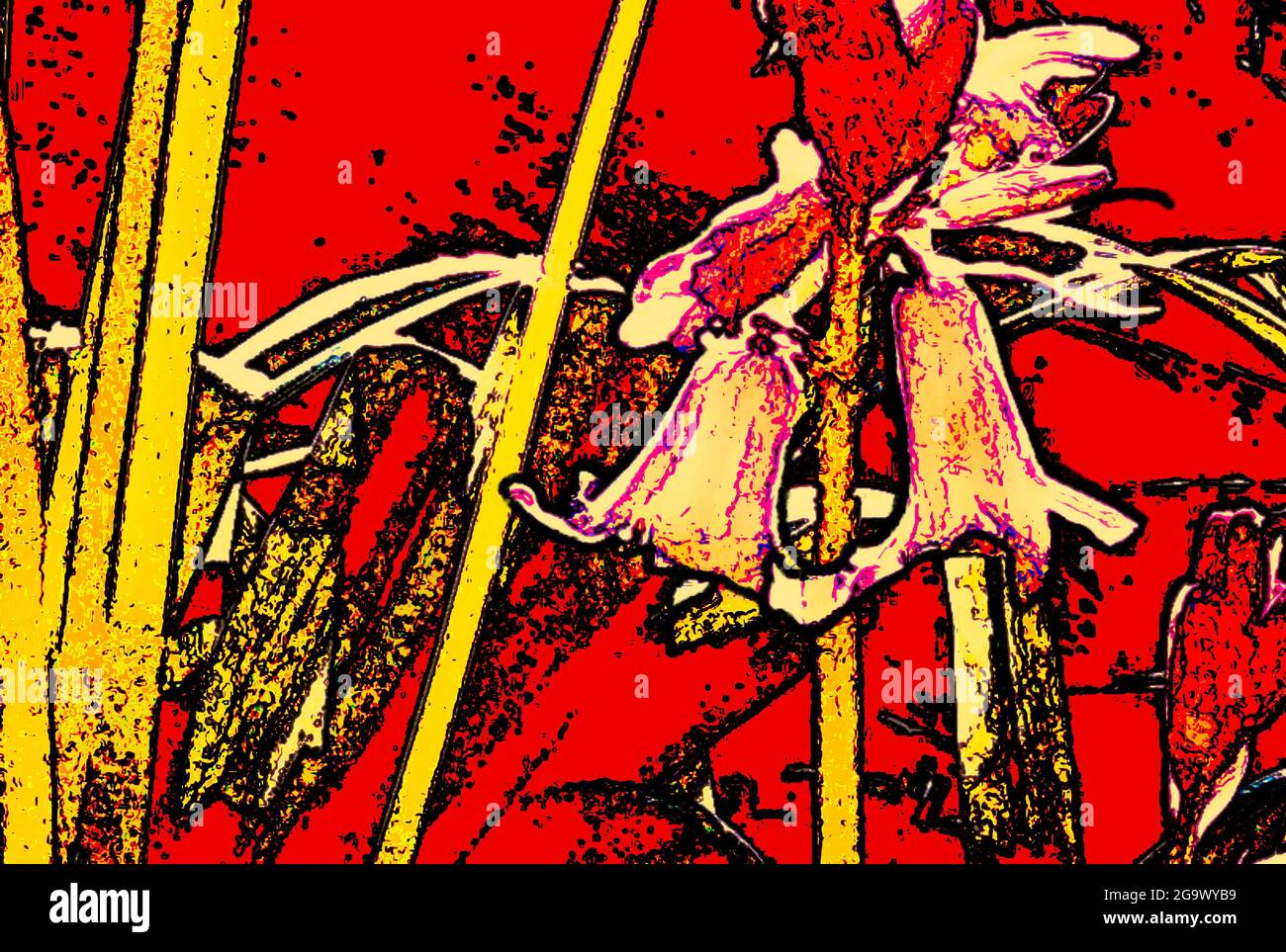 Stylized lily flower hi-res stock photography and images - Alamy