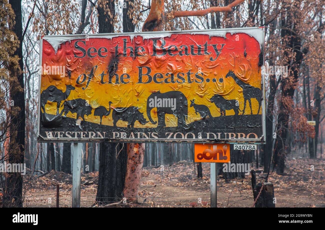2019/ 20 NSW Bushfires - Bells Line of Road Blue Mountains Australia ...