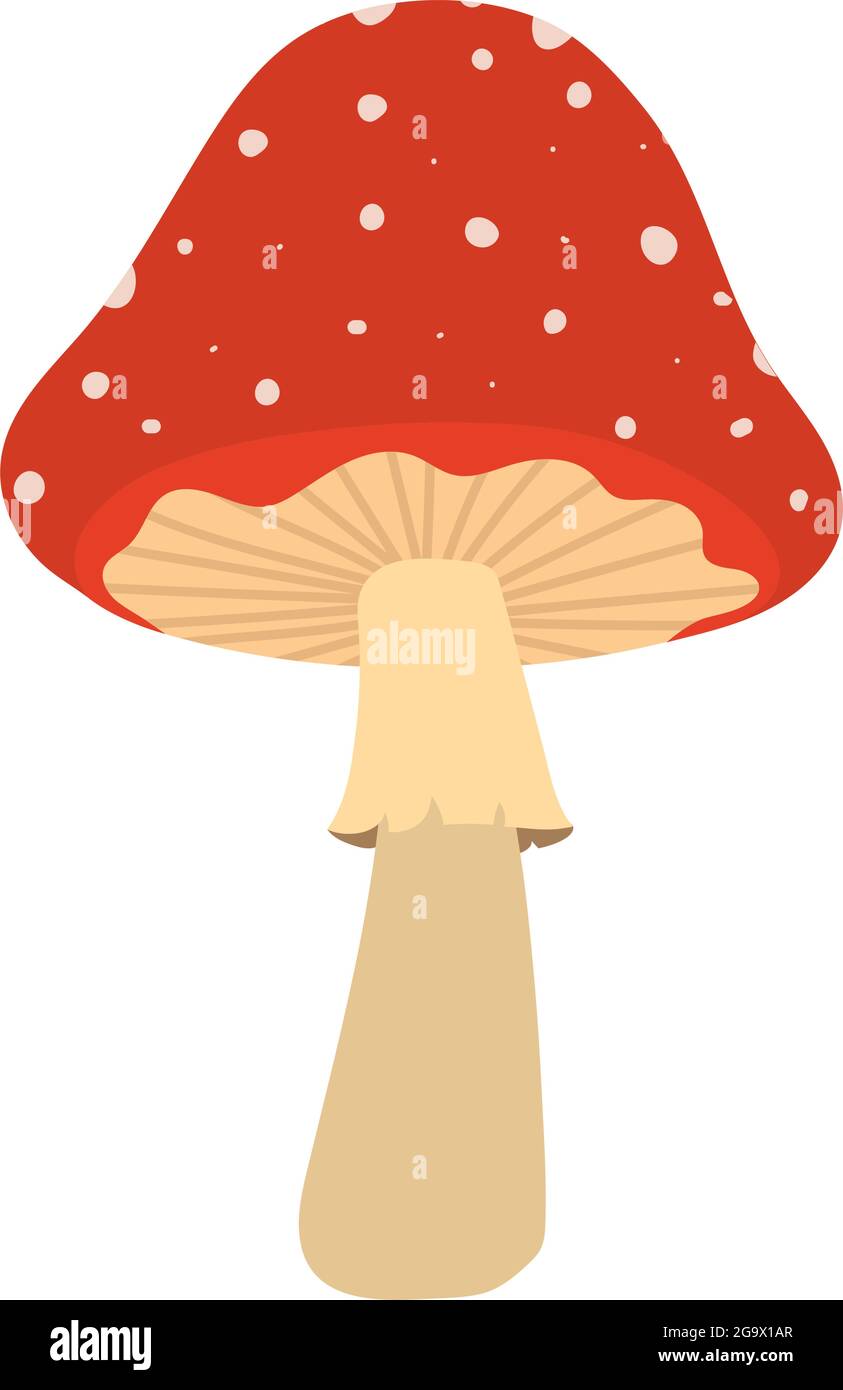 red mushroom illustration Stock Vector Image & Art - Alamy