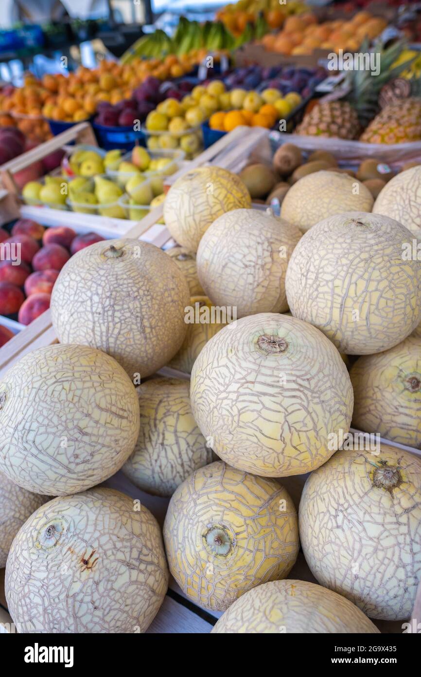Italian Smooth Skin Melon on street market in Padua Stock Photo - Alamy