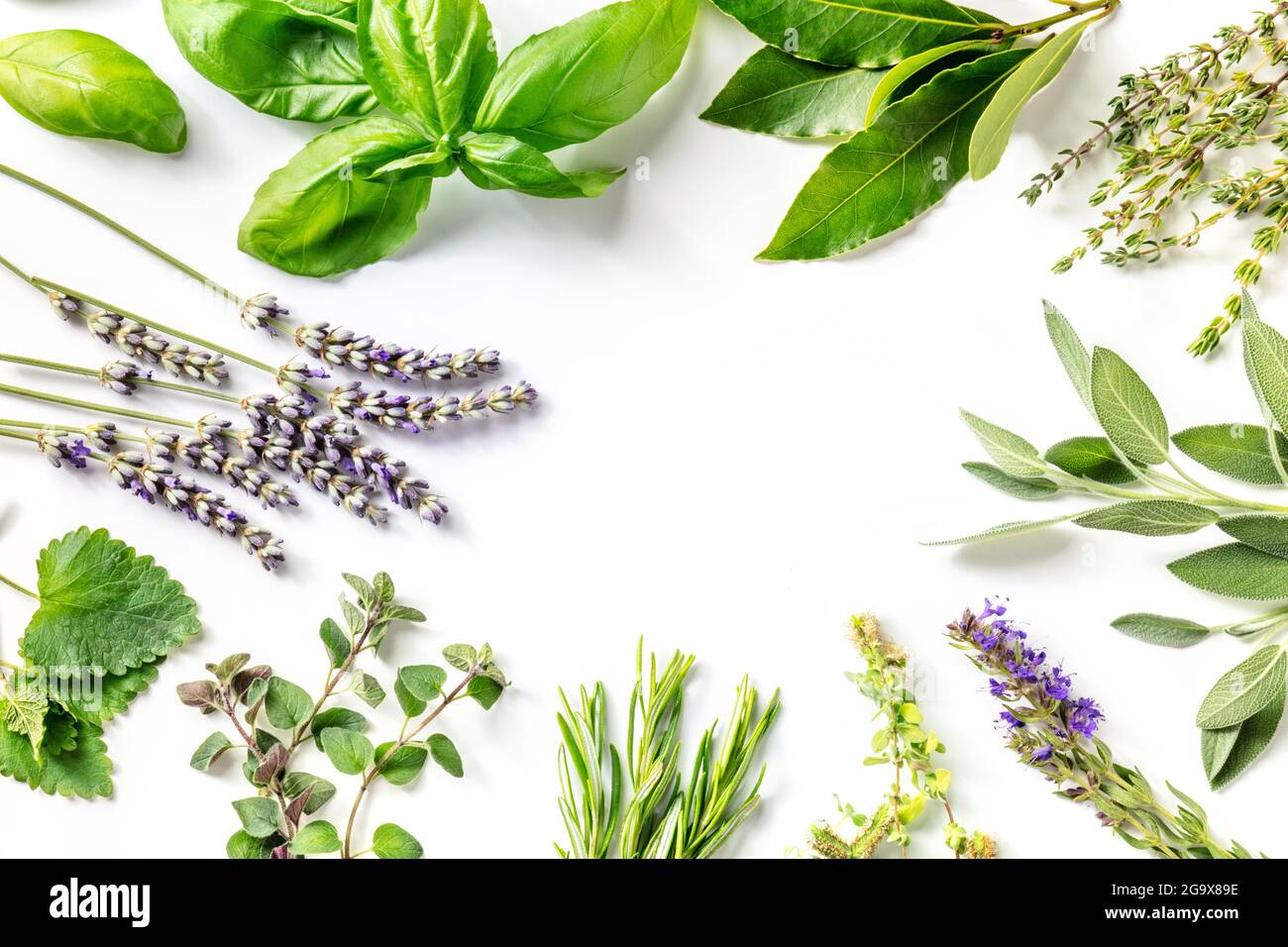 Fresh garden herbs banner with copy space. An overhead flat lay shot of ...