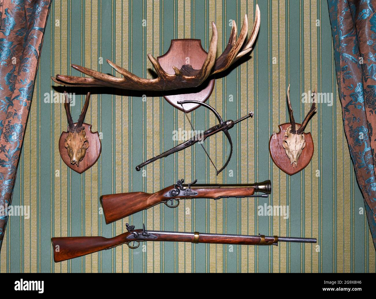 Old hunting weapon with trophies on the wall Stock Photo - Alamy