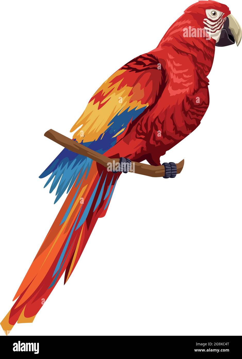 macaw bird icon Stock Vector Image & Art - Alamy