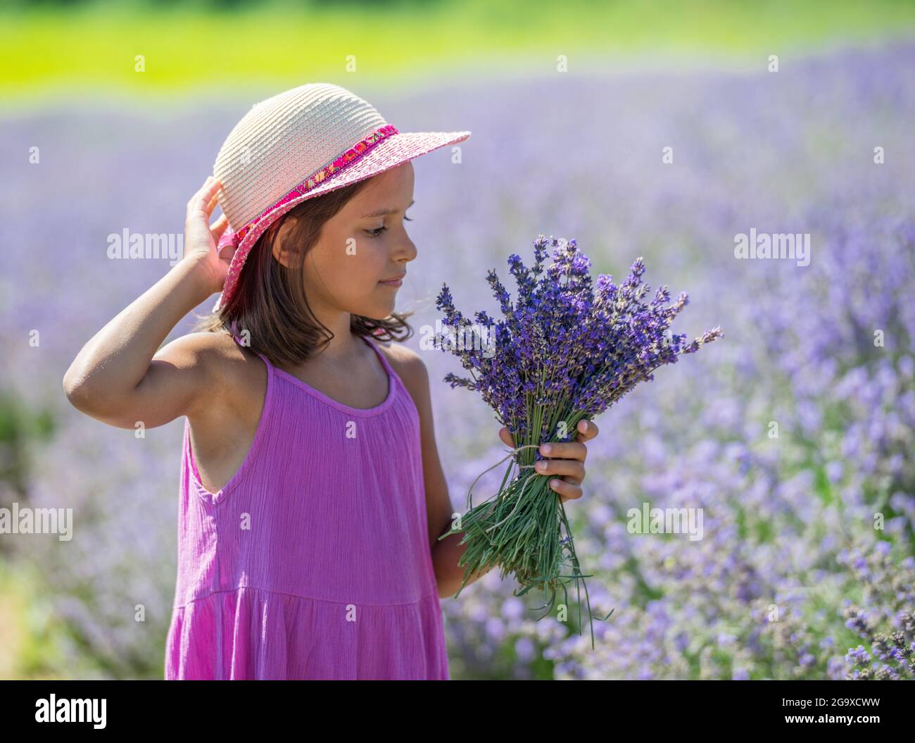 Portrait of little girl sniffing flowers in the lavender field Stock ...