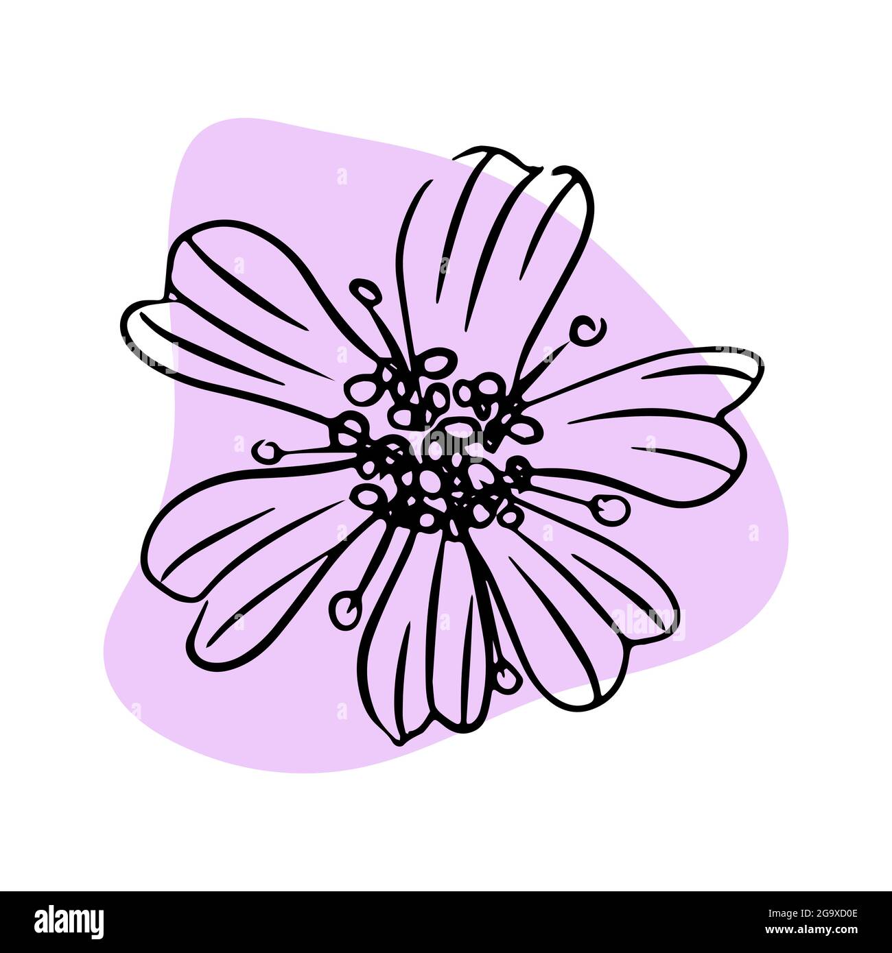 Daisy with abstract shapes hand drawn illustration. Line art. Isolated ...