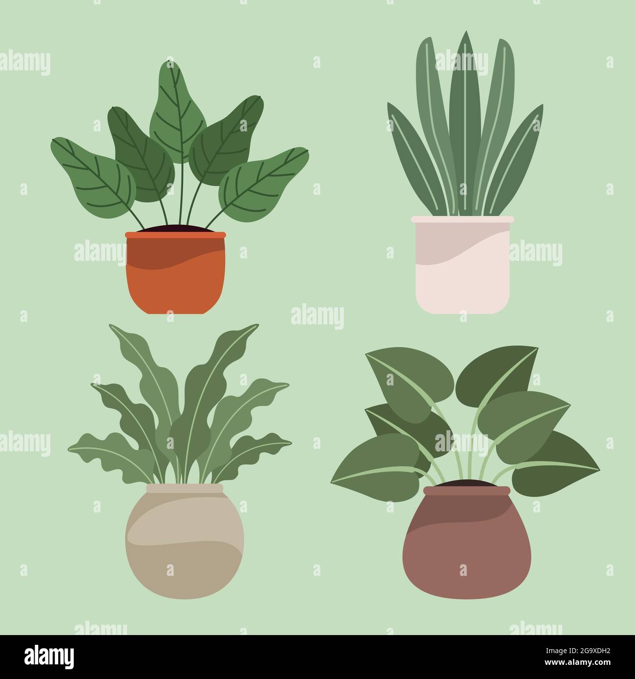 Four plants in pots Stock Vector Images - Alamy