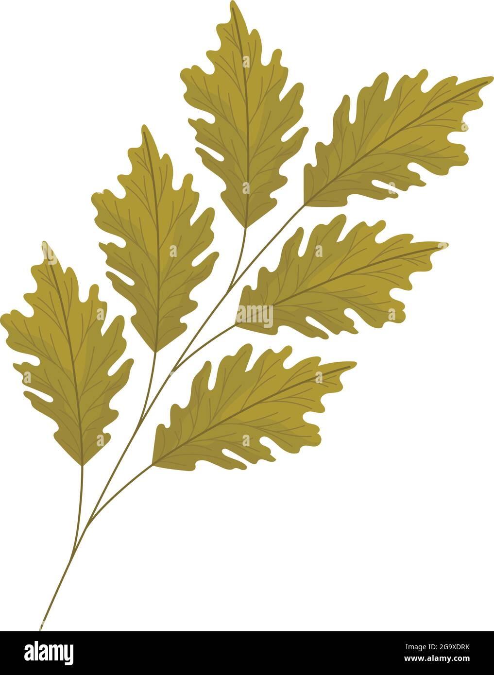 autumn leaves illustration Stock Vector Image & Art - Alamy