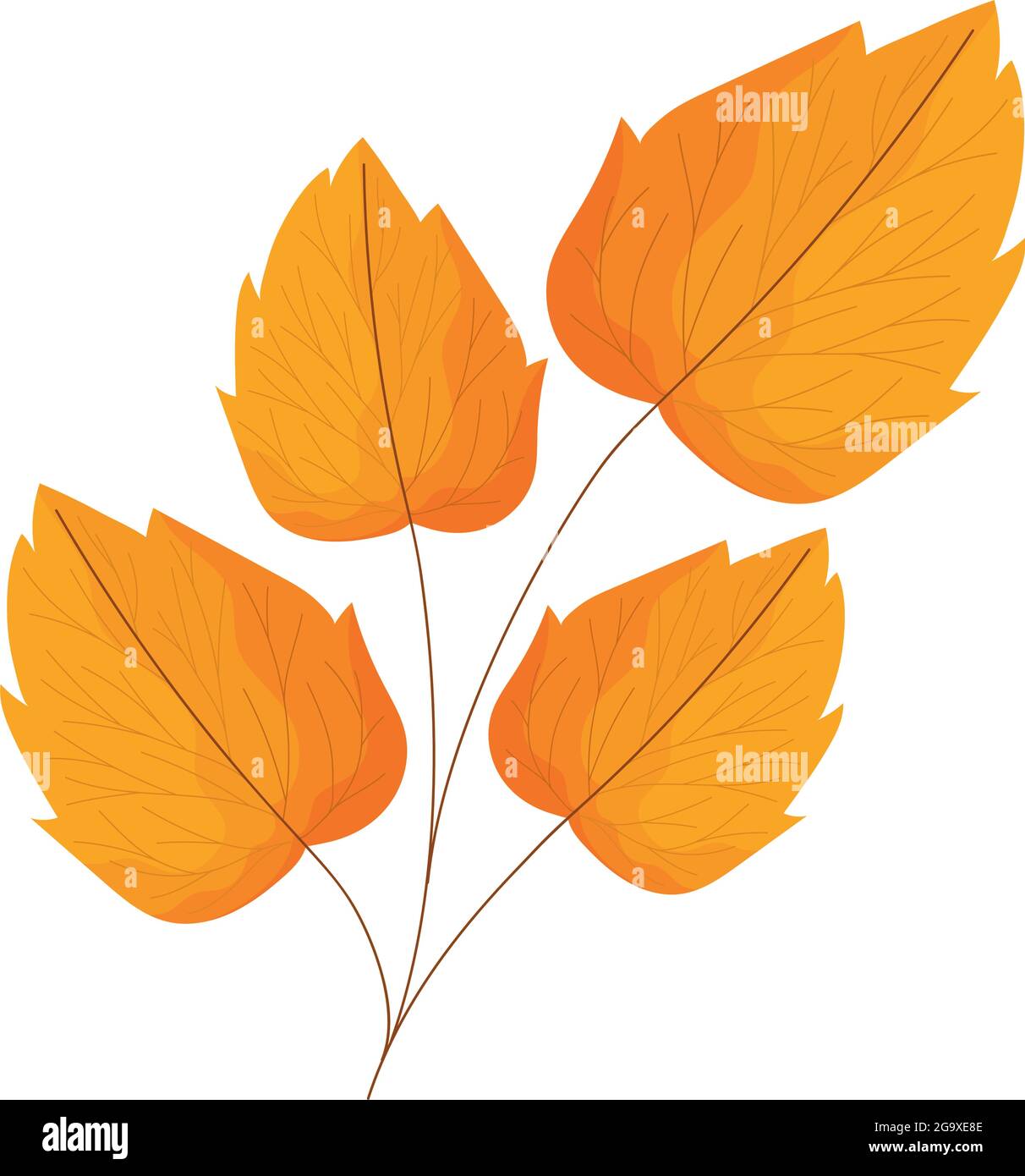 Exotic planting Stock Vector Images - Alamy