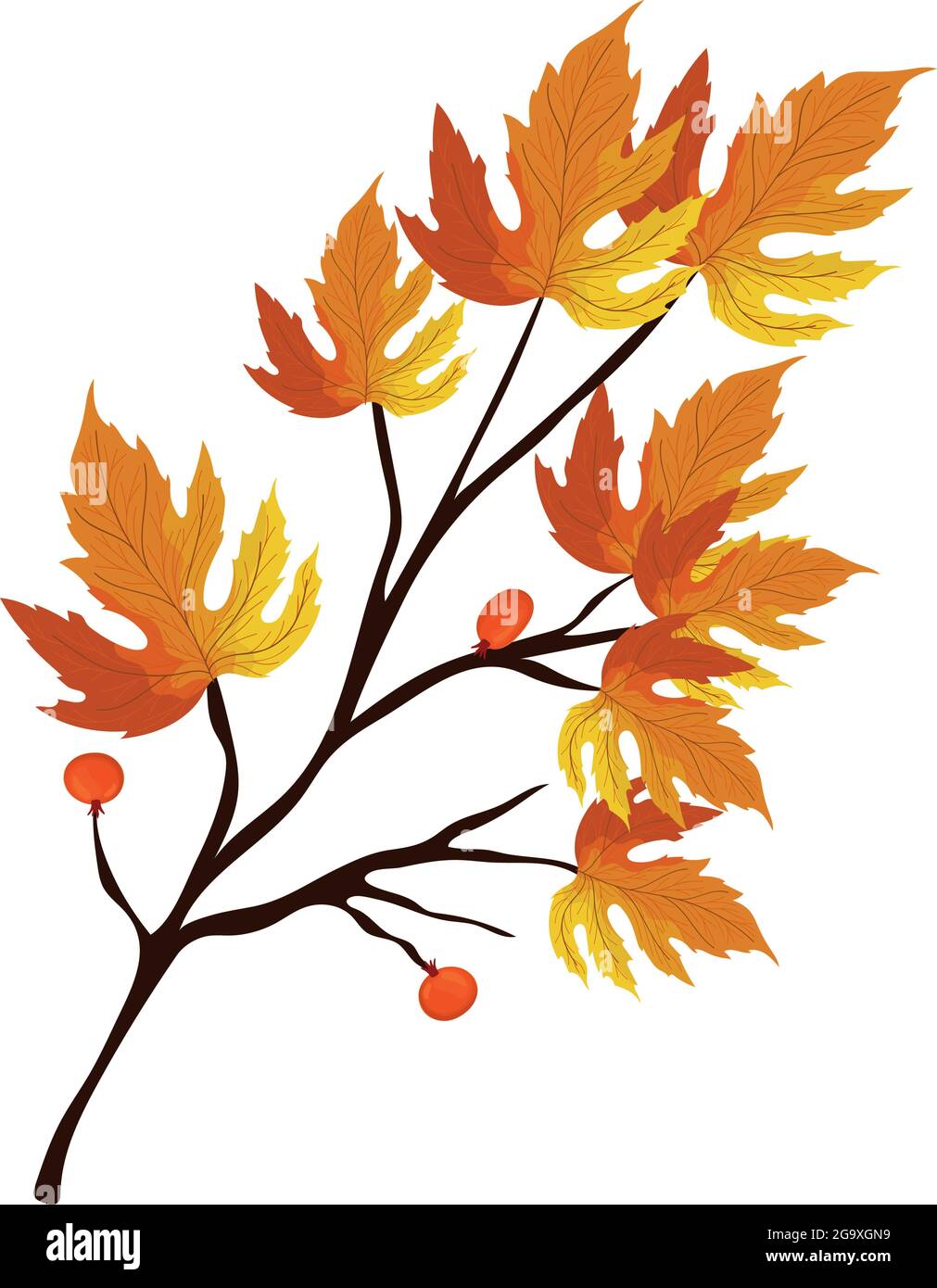 autumn leaves design Stock Vector Image & Art - Alamy