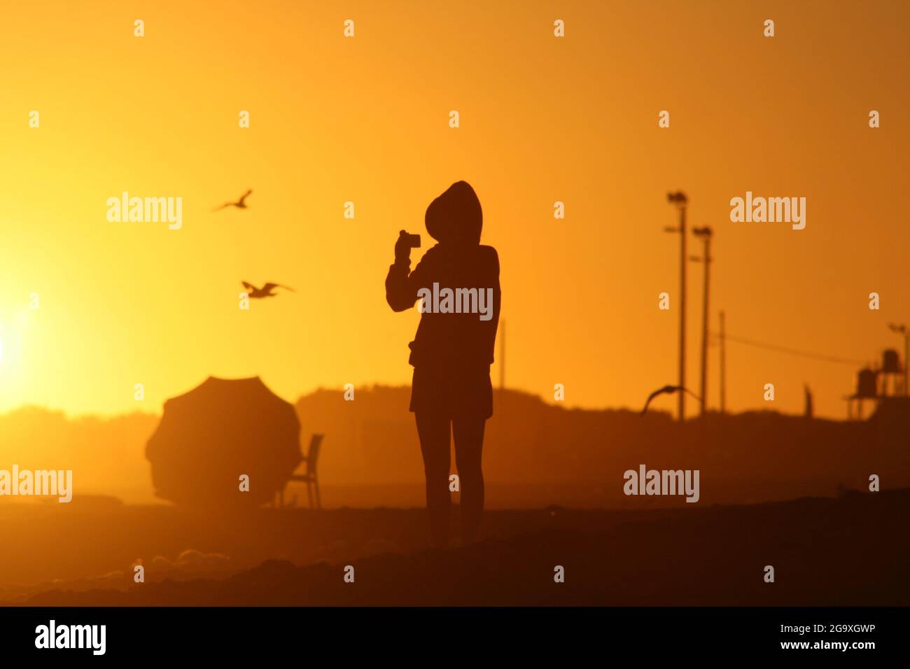 Silhouette of a person taking photos of birds flying during the sunset ...
