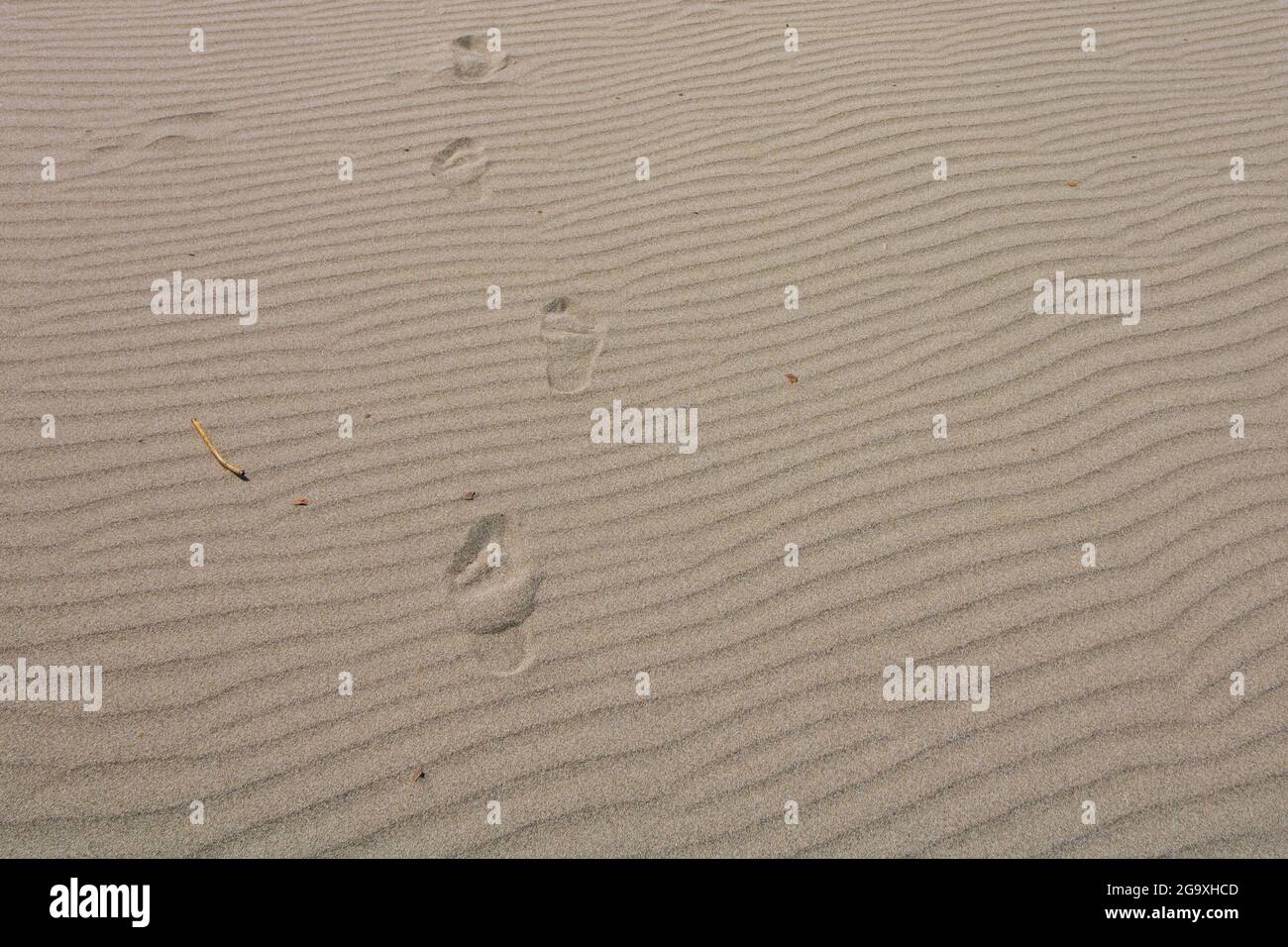 Sea going theme hi-res stock photography and images - Alamy