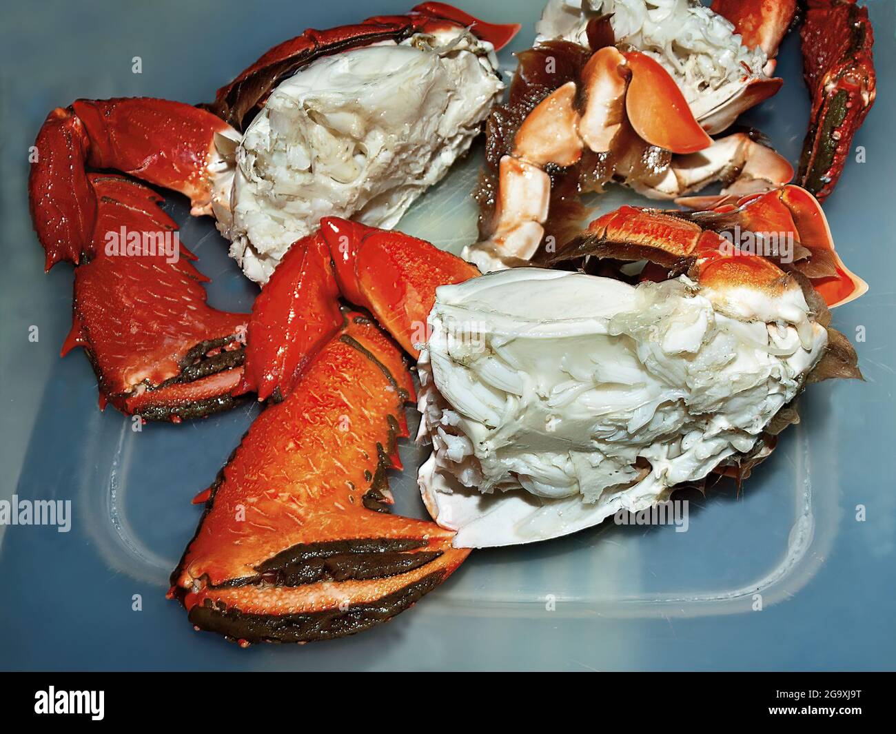 Spanner crab hi-res stock photography and images - Alamy